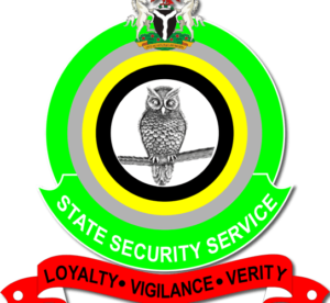 Alleged terrorism : Suspected Ansaru commanders trained in Libya, DSS ...