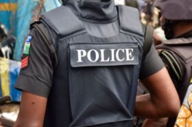 Timi Frank urges NDDC board to release forensic audit report - THE ...