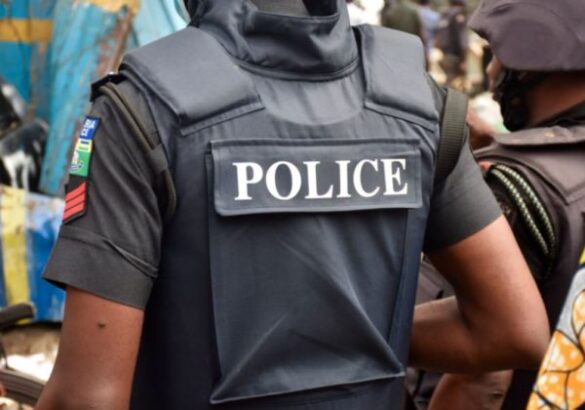 Police arrest 24 kidnapping suspects in Imo - THE AUTHORITY NEWS