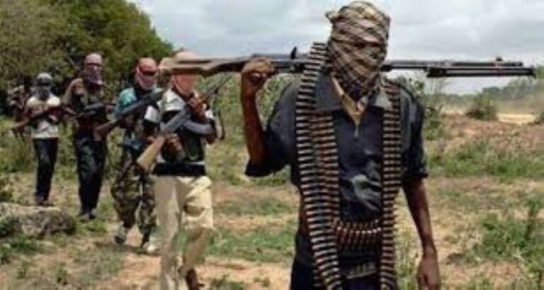 Banditry fueling ‘ransom economy’ in Nigeria, Nextier warns - THE ...