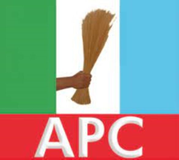 Kebbi assembly donates 25 vehicles to APC Tinubu/Kaura group - THE ...
