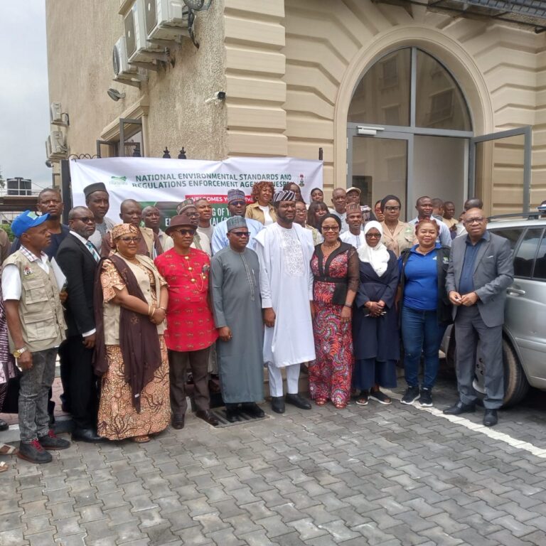 FG launches Battery Control Regulations 2024 - THE AUTHORITY NEWS